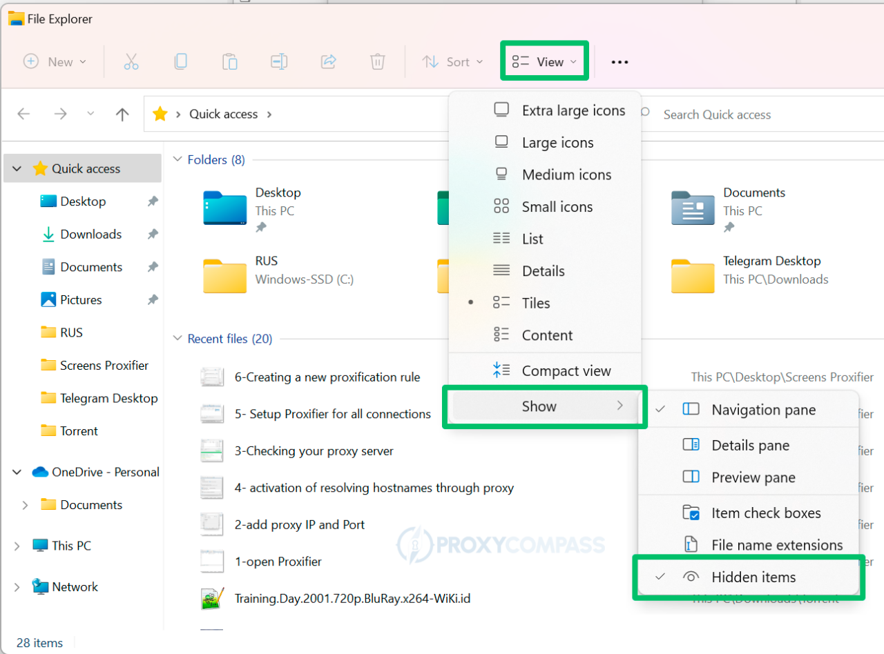 Proxifier Proxy Setup: A Quick Guide - ProxyCompass